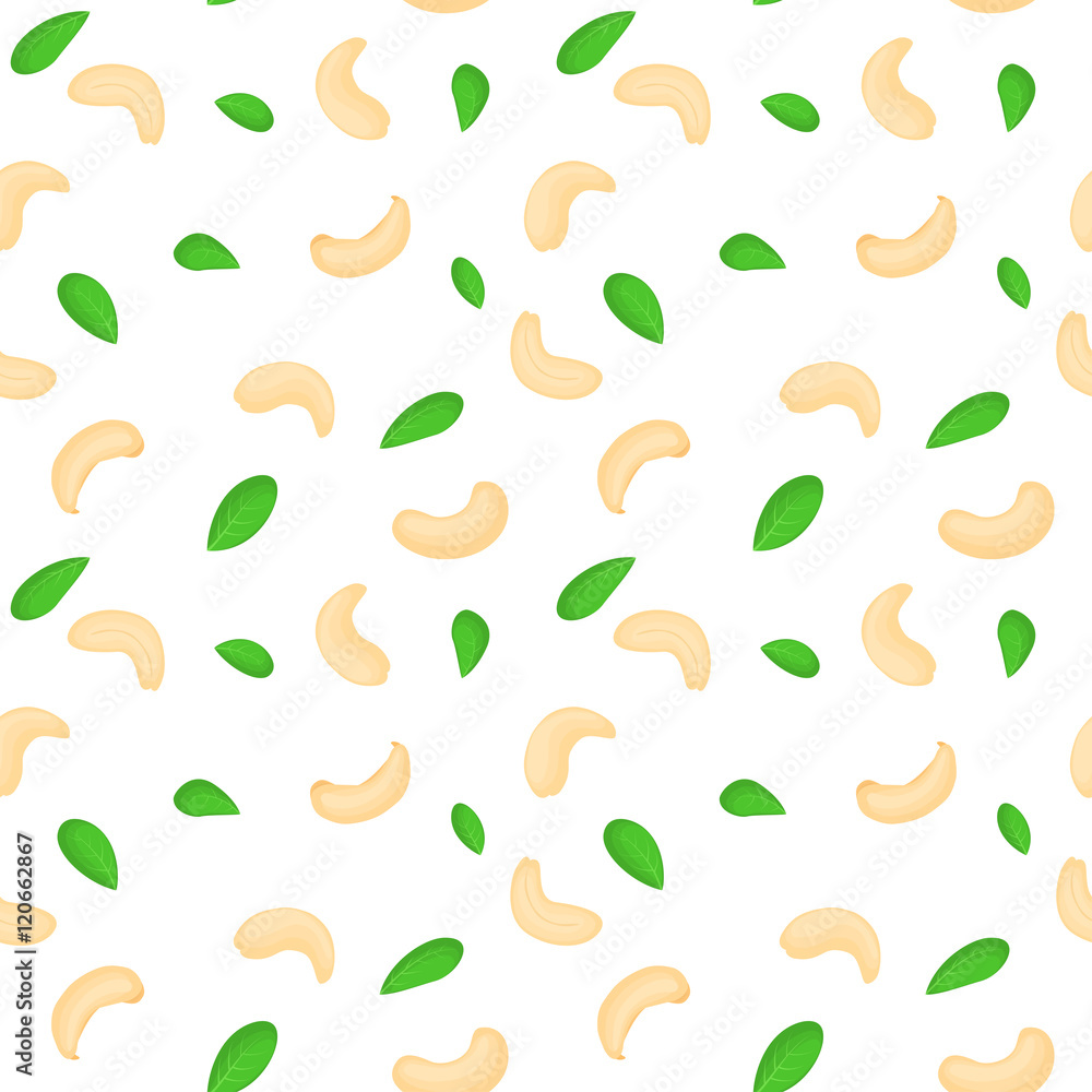 Vector seamless background of a cashew nut. Shelled walnuts whole ...