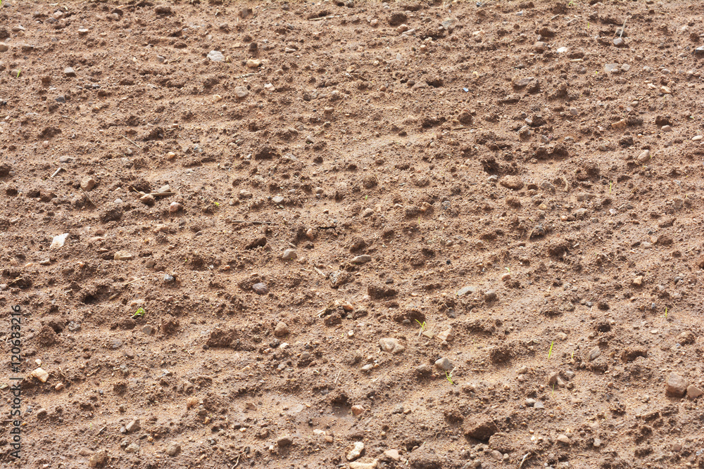 Dirt Field Background