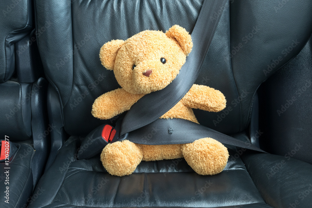 Teddy bear fastened in the back seat of a car Stock Photo | Adobe Stock