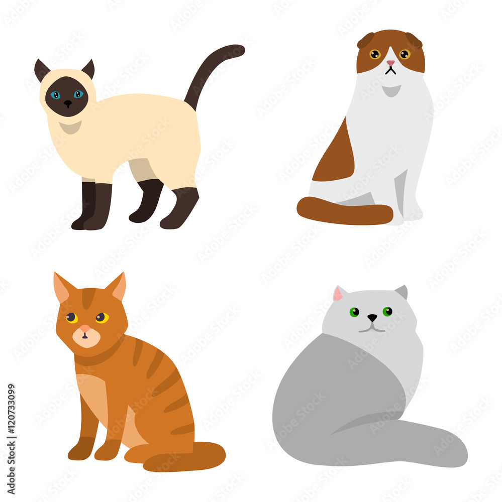 Cat breeds cute pet animal set vector illustration. Cat breed animal ...