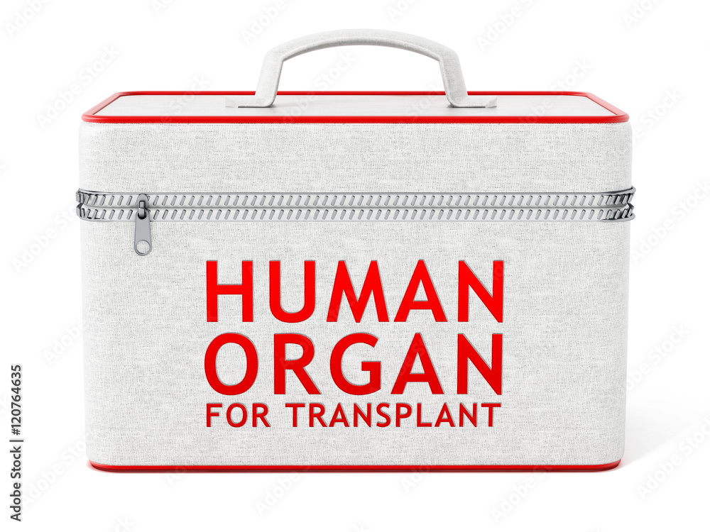 Human organ for transplant box. 3D illustration Stock Illustration ...