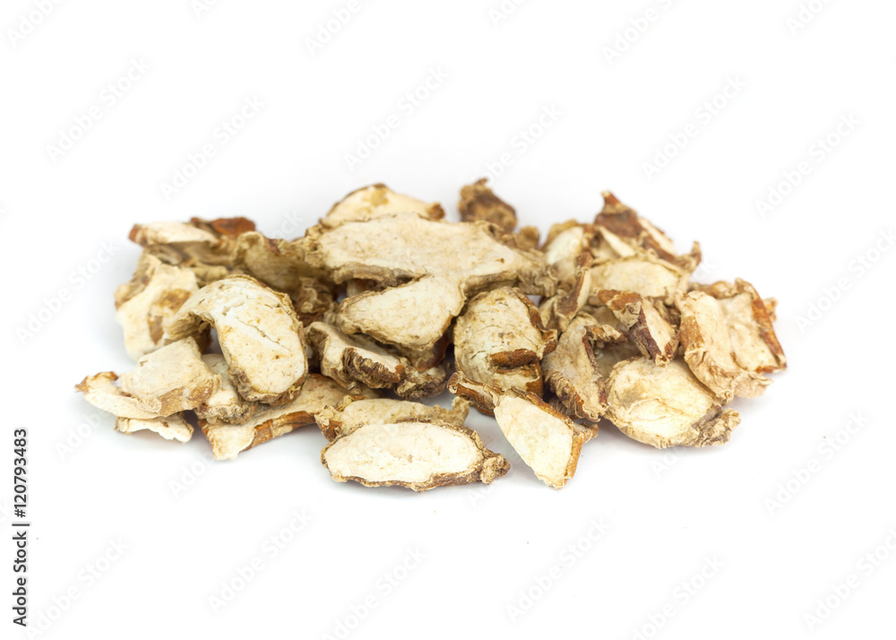 Sand Ginger, Aromatic Ginger, Resurrection Lily , Kaempferia galanga L ...