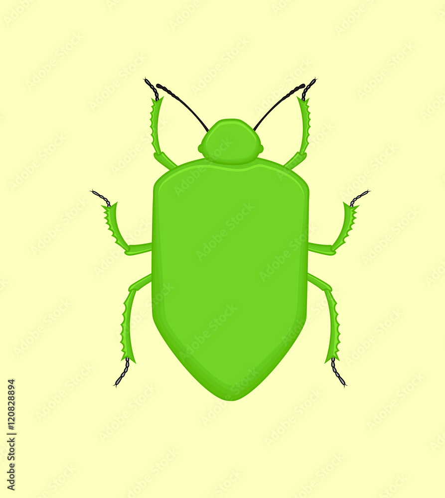 Creepy Beetle Insect Vector Stock Vector | Adobe Stock