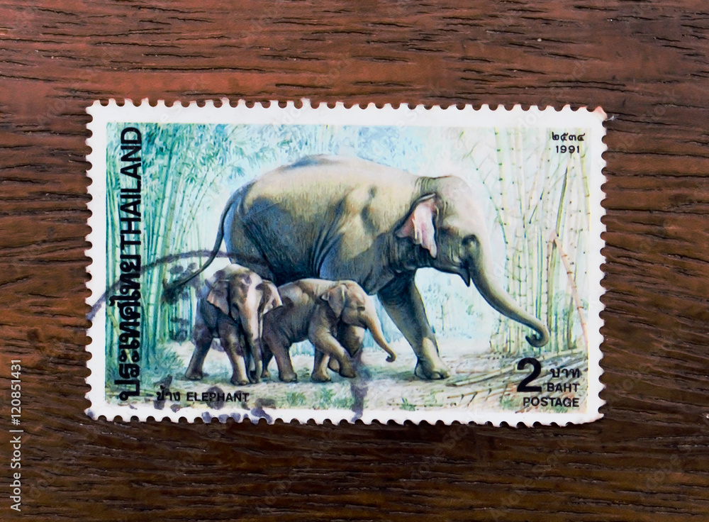 THAILAND - CIRCA 1991 A stamp printed in Thailand shows image of Two ...
