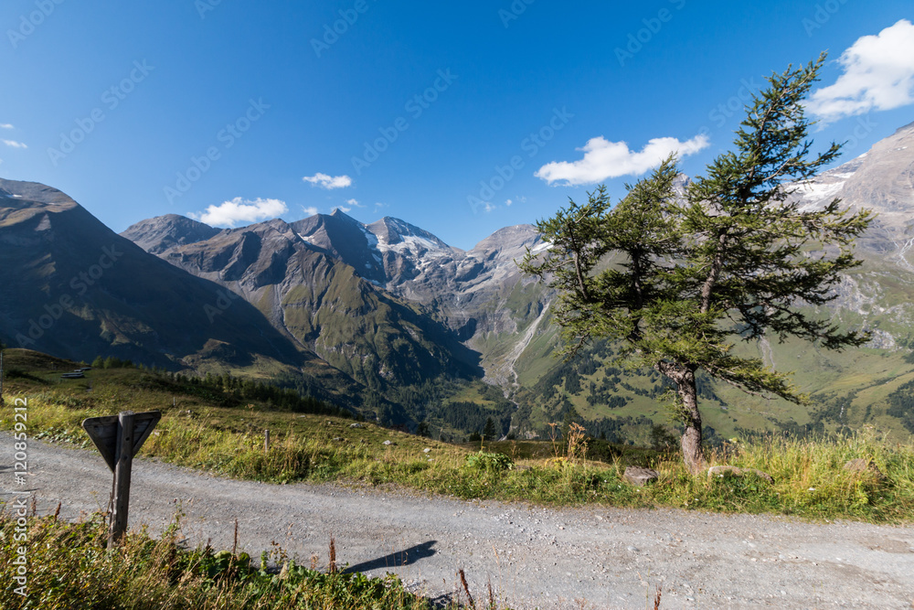 Großglockner im Sommer, Baum Wiese und Berge Stock Photo | Adobe Stock