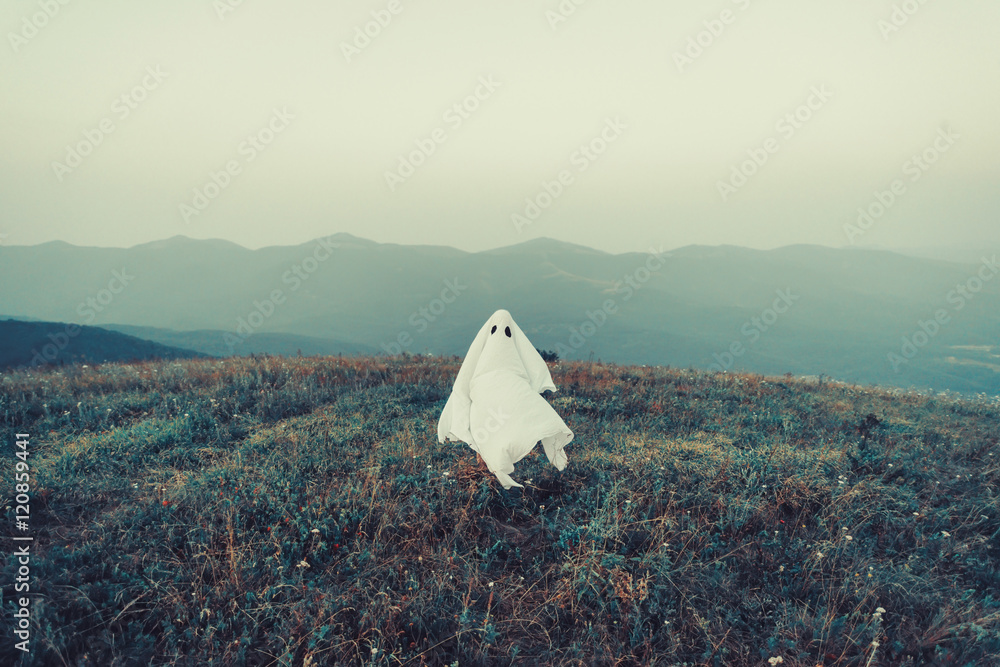 Ghost walking on meadow Stock Photo | Adobe Stock