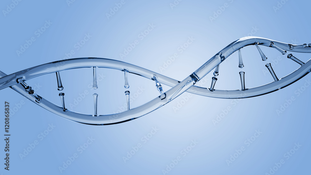 3d illustration of glass model of DNA molecule. Stock Illustration ...