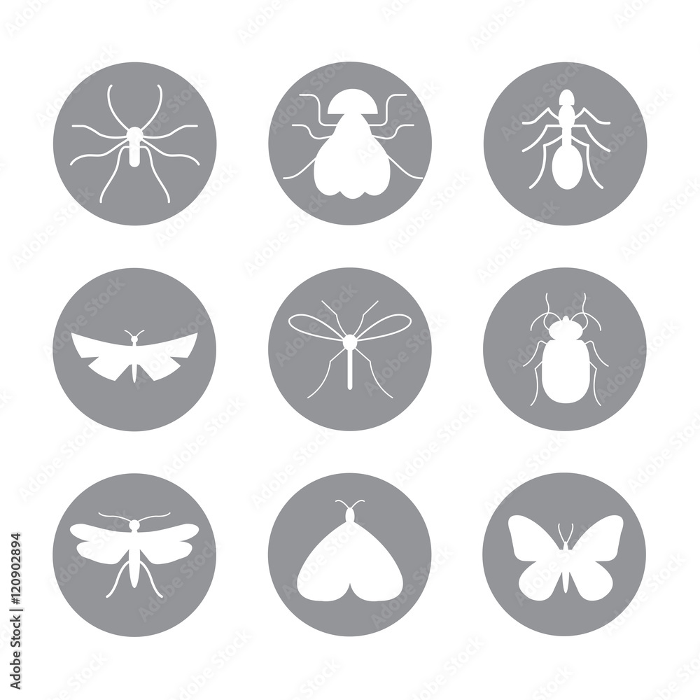 Pictograms of insects. Symbol insects Stock Vector | Adobe Stock