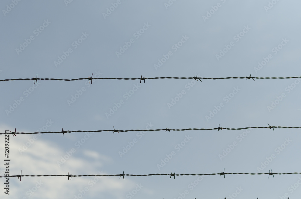 Barbed wire Stock Photo | Adobe Stock