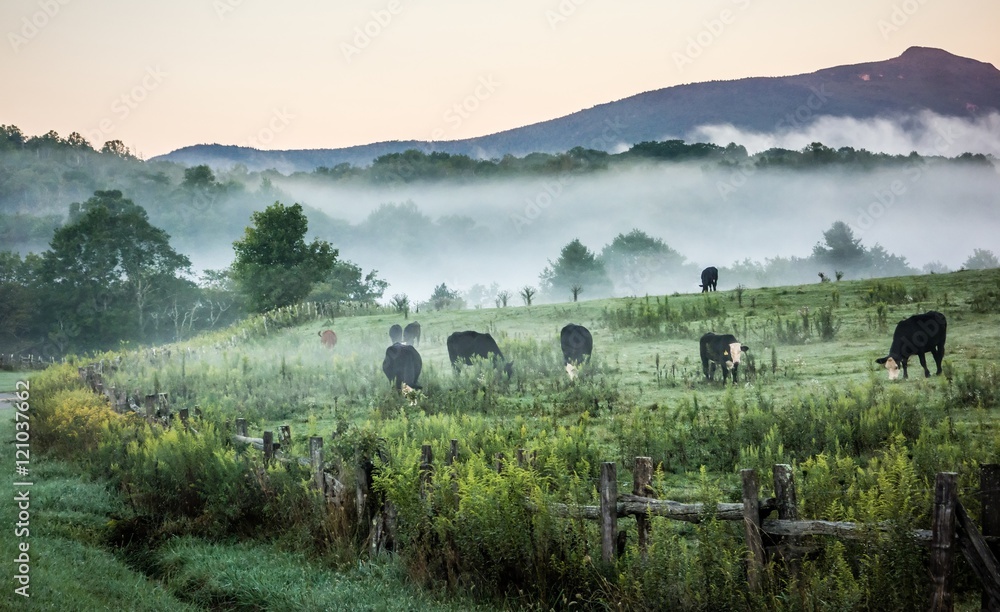 fog rolling through blue ridge parkway farm lands Stock Photo | Adobe Stock