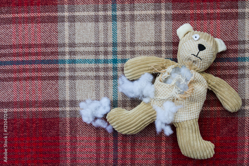 A sad, abandoned teddy bear with stuffing and filling falling from his ...