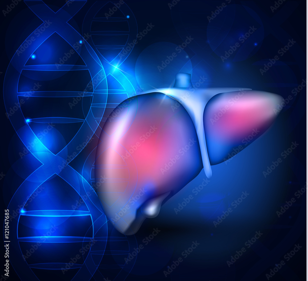 Liver anatomy abstract blue scientific background with DNA chain Stock ...