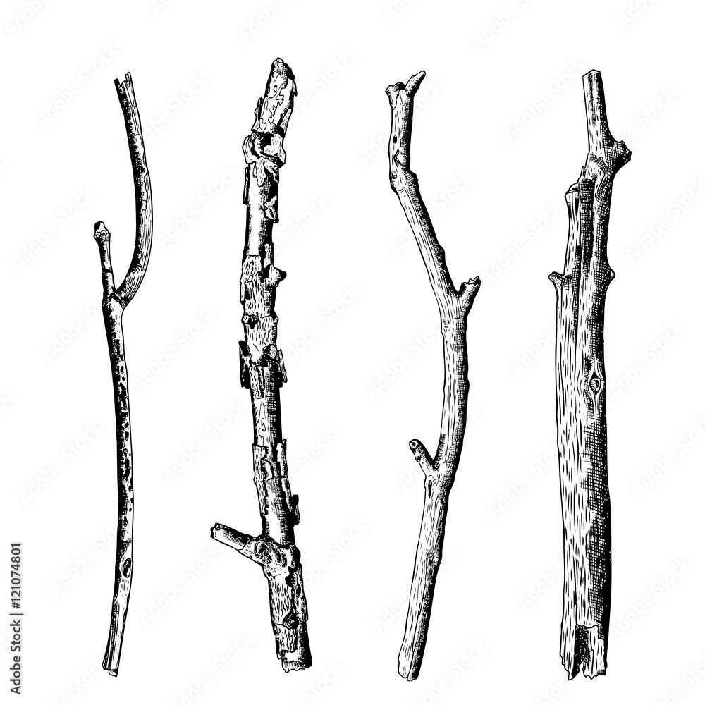 Twig Drawing