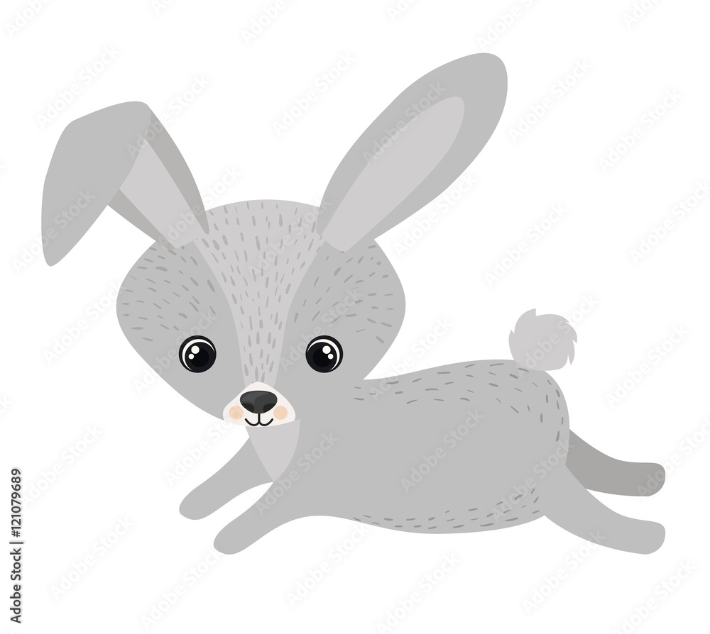 Rabbit cartoon icon. Forest animal theme. Isolated design. Vector ...