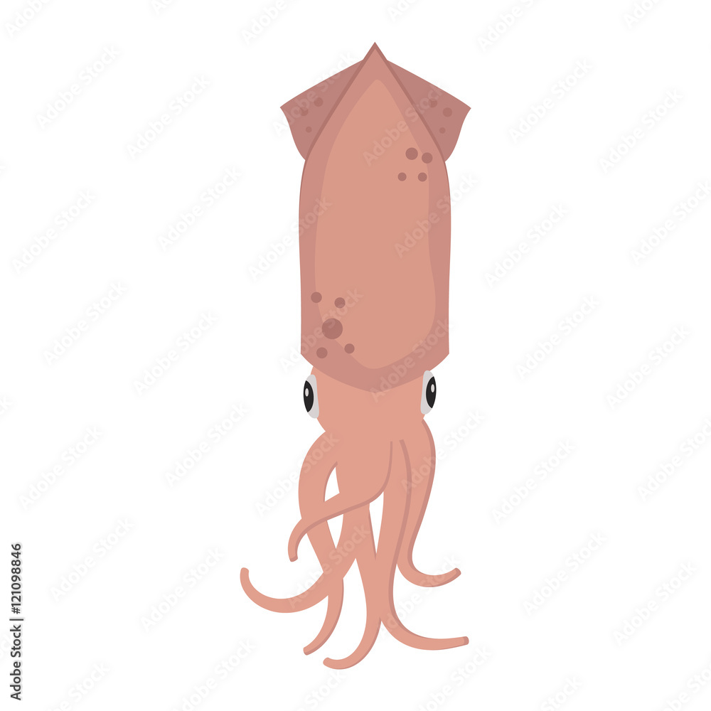 Vector squid cartoon illustration. Squid calamari dcorative squid ...