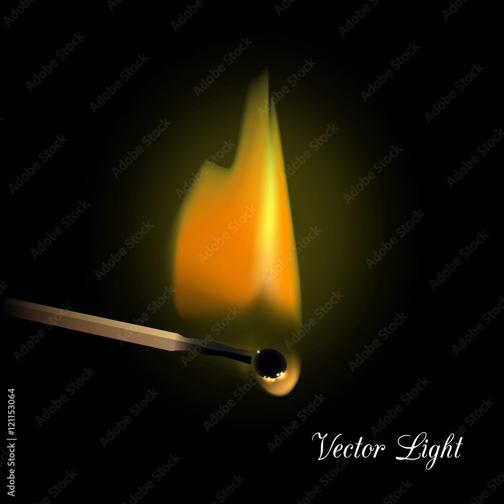 Realistic burning match on black background with transparent flame ...