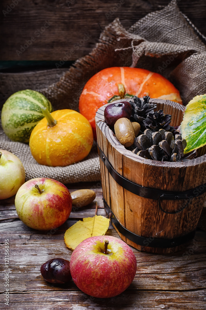 Autumn harvest of apples and pumpkins Stock Photo | Adobe Stock