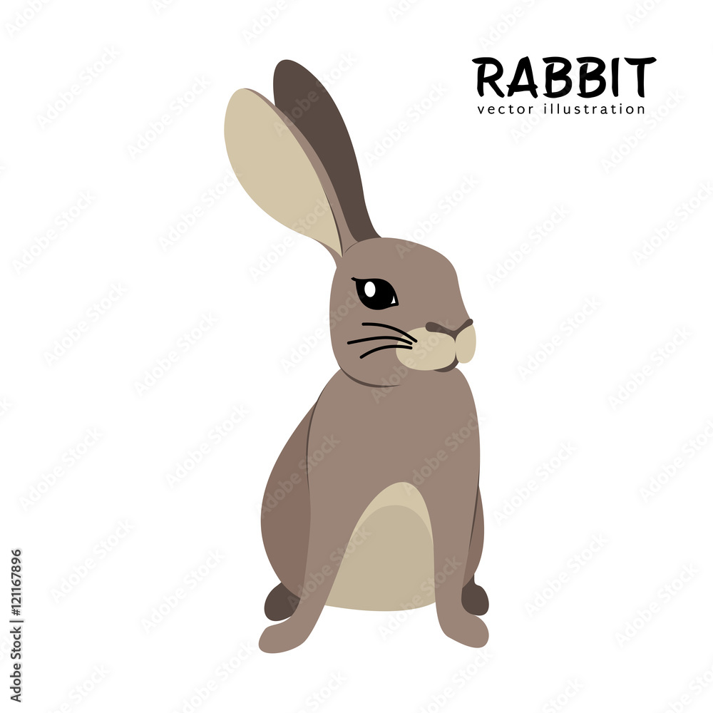 Rabbit isolated hand drawing vector illustration, vintage animal set ...