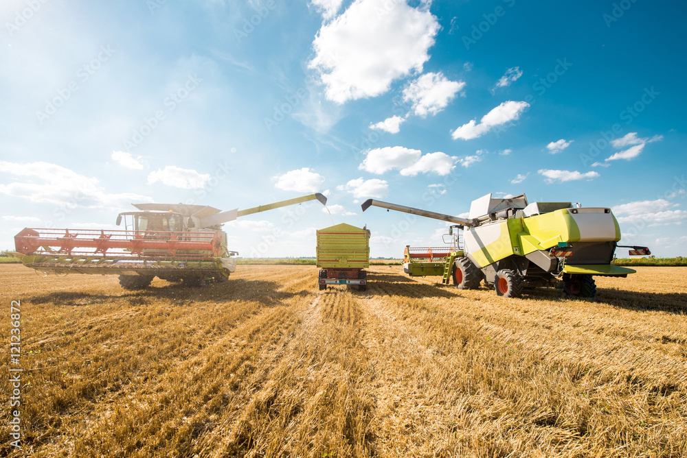 Harvesting the field of wheat Stock Photo | Adobe Stock