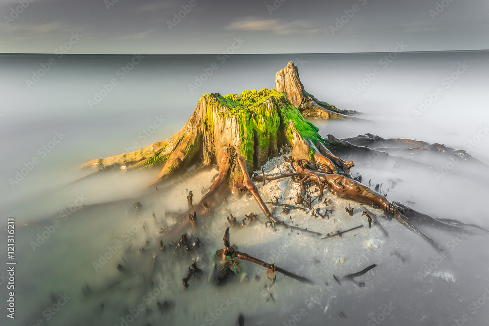 all about nature Stock Photo | Adobe Stock