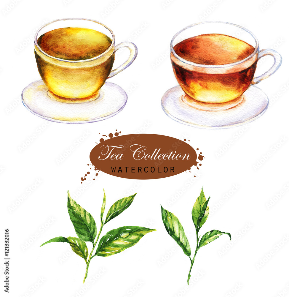 Hand-drawn watercolor illustration of the tea. Cup of the black and ...