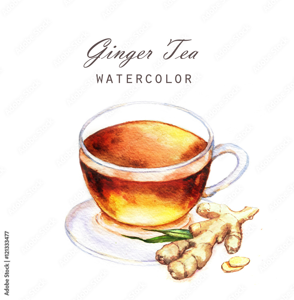 Hand-drawn watercolor illustration of the tea. Cup tea with ginger ...