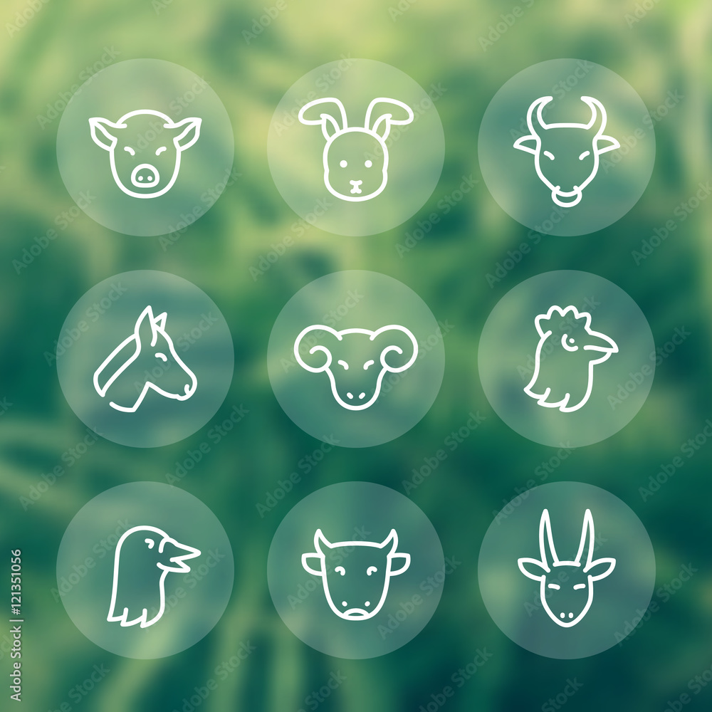 Farm animals line icons, ram, hen, goose, pig, rabbit, bull, horse, cow ...