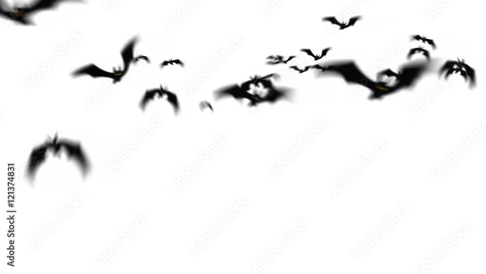 Halloween Swarm of Bats Flying towards Camera (Green Screen / Chroma ...