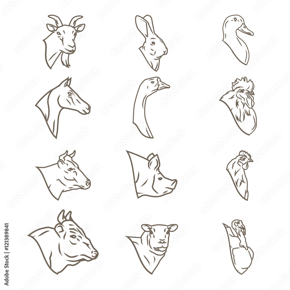 farm animal heads vector collection. Butchery logo and labels. Stock ...