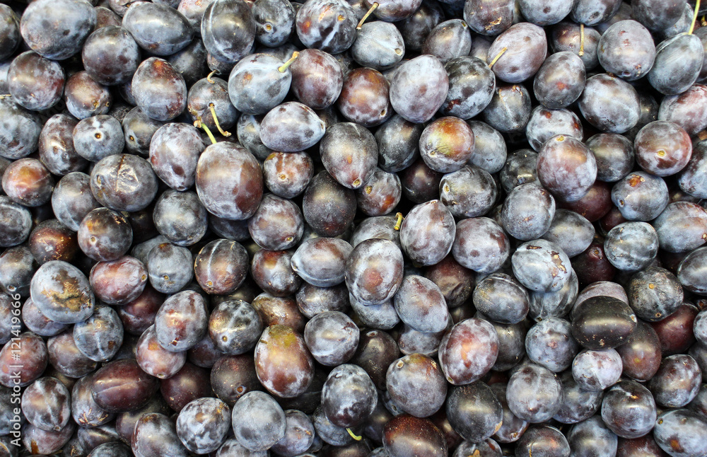 plump Stock Photo | Adobe Stock