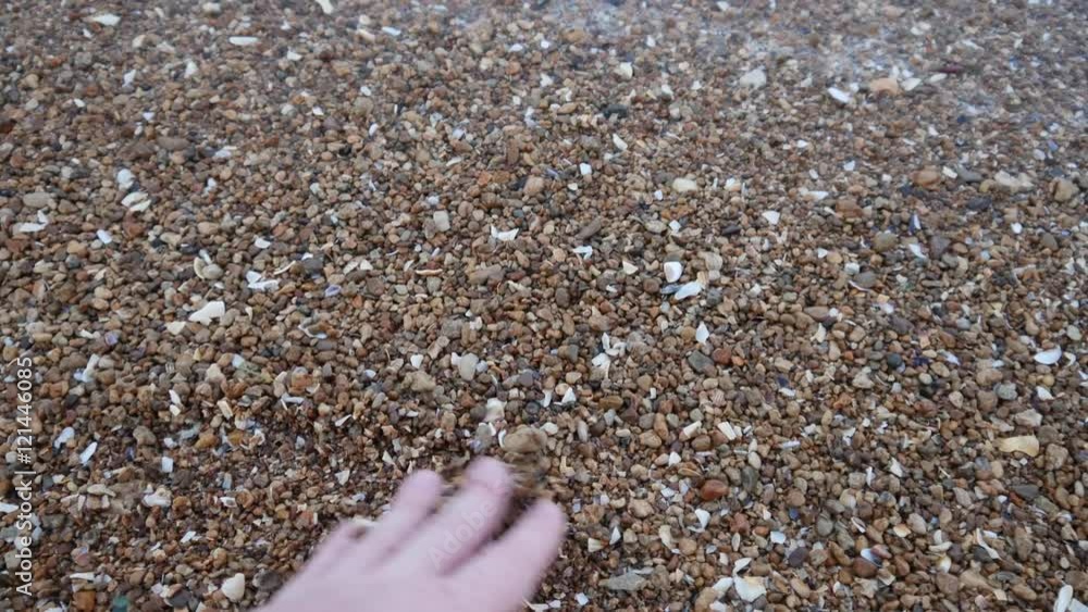 Hand Touch the Pebbles on the Sea Stock Video | Adobe Stock