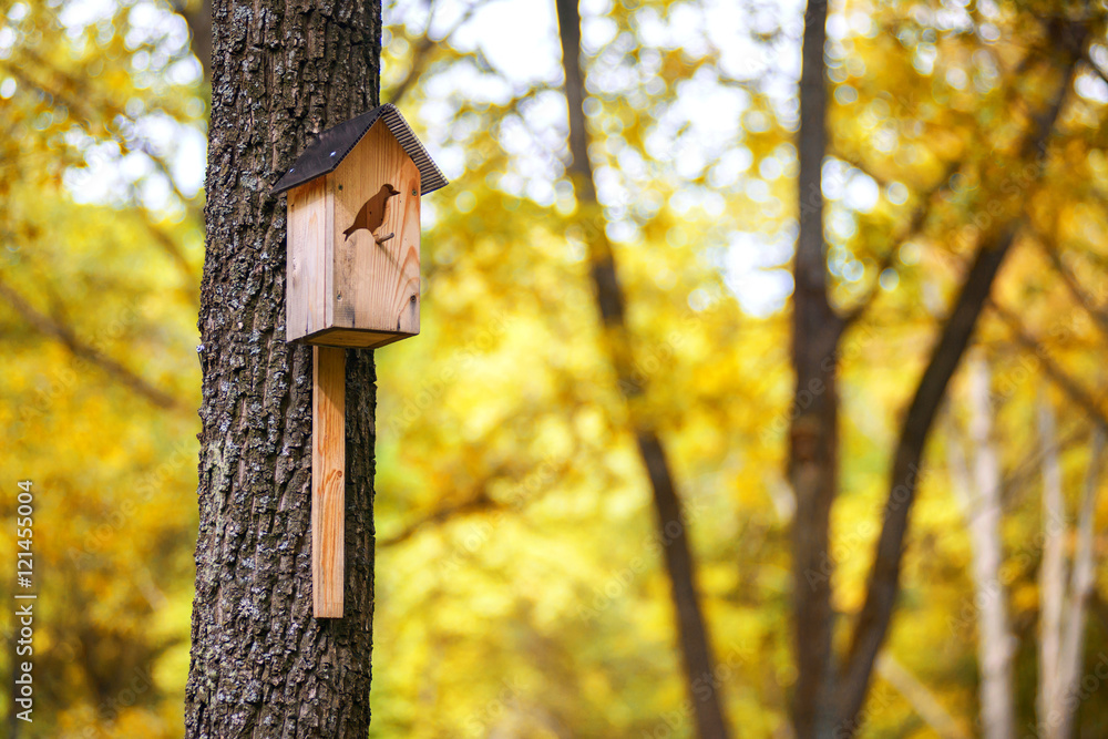 Birdhouse for birds on a tree in the autumn forest. Bird nesting box on ...