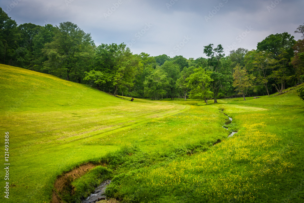Small stream and farm field in rural Baltimore County, Maryland. Stock ...