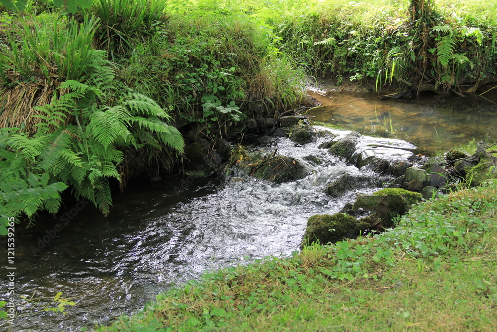 Ruisseau Stock Photo | Adobe Stock