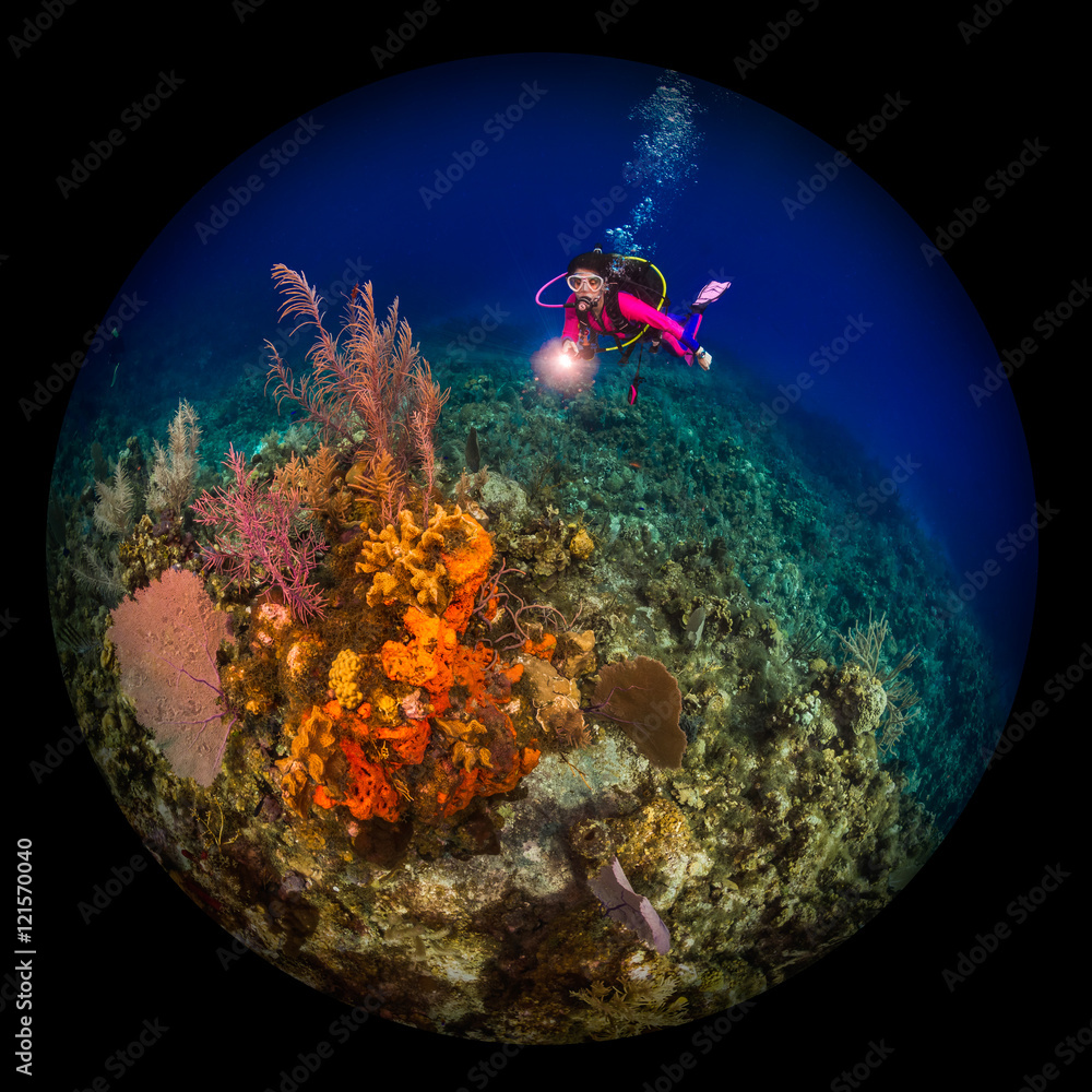 A circular fisheye image of a female SCUBA Diver exploring a Caribbean ...