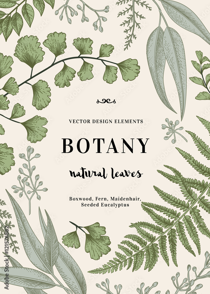 Botanical illustration with leaves. Stock Vector | Adobe Stock