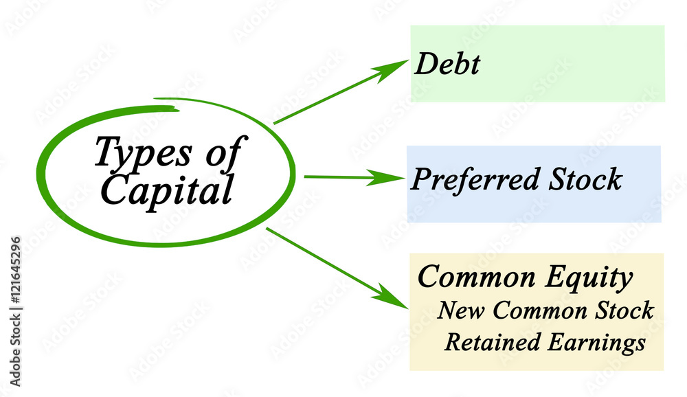 Types of Capital Stock Illustration | Adobe Stock