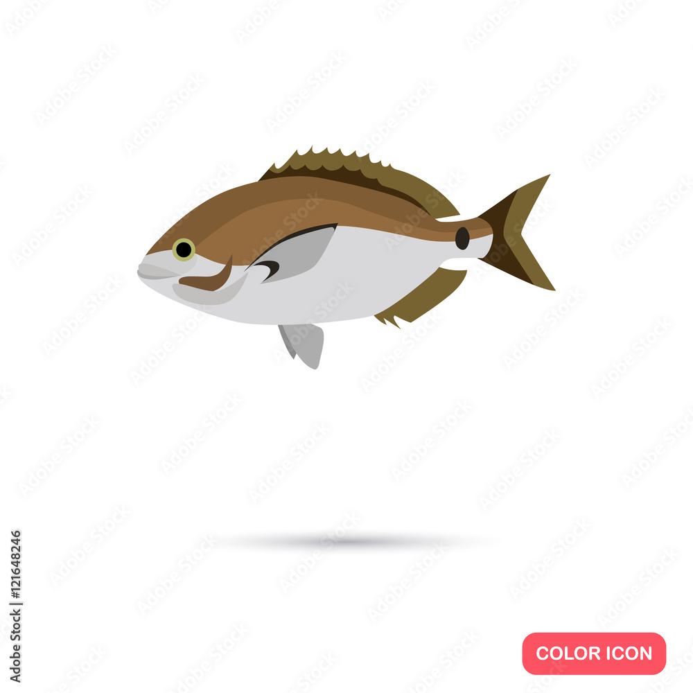 Sea grouper color flat icon Stock Vector | Adobe Stock