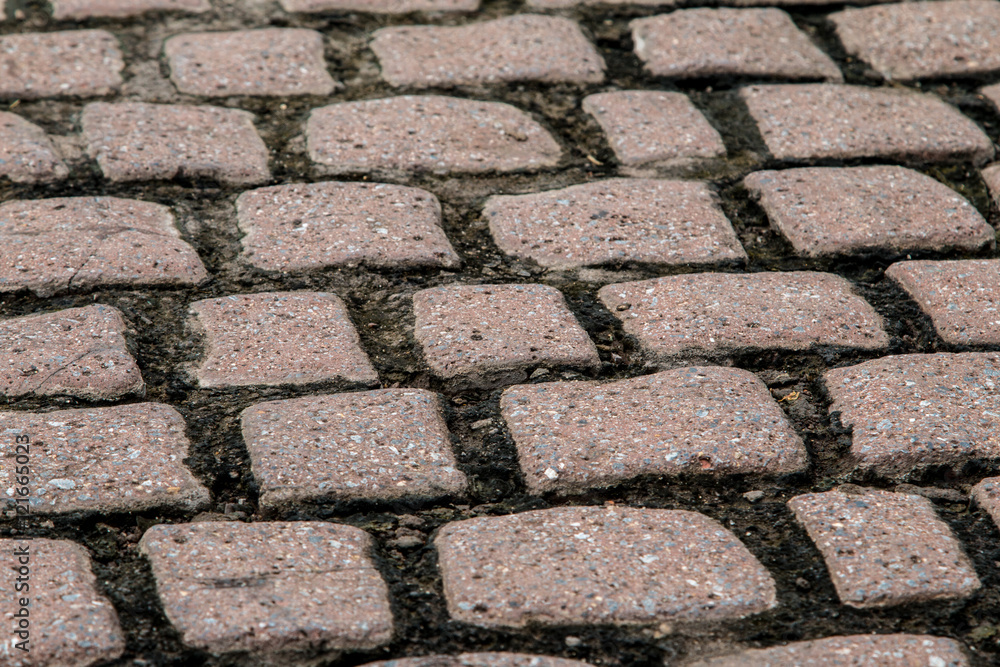 Brick worm or Bricklaying worm on the walkway, Shooting angle in Stock ...