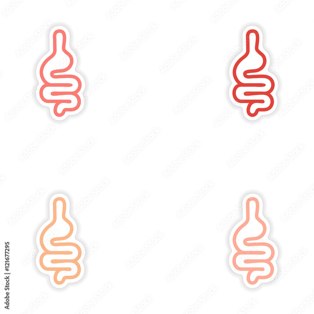 Set of paper stickers on white background human intestine Stock Vector ...