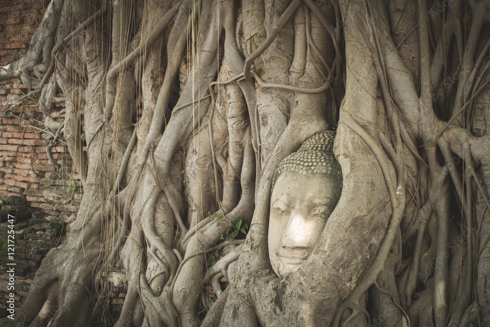 Ancient Buddha Statue in tree roots at Mahatat Temple, Ayuttaya, Stock ...