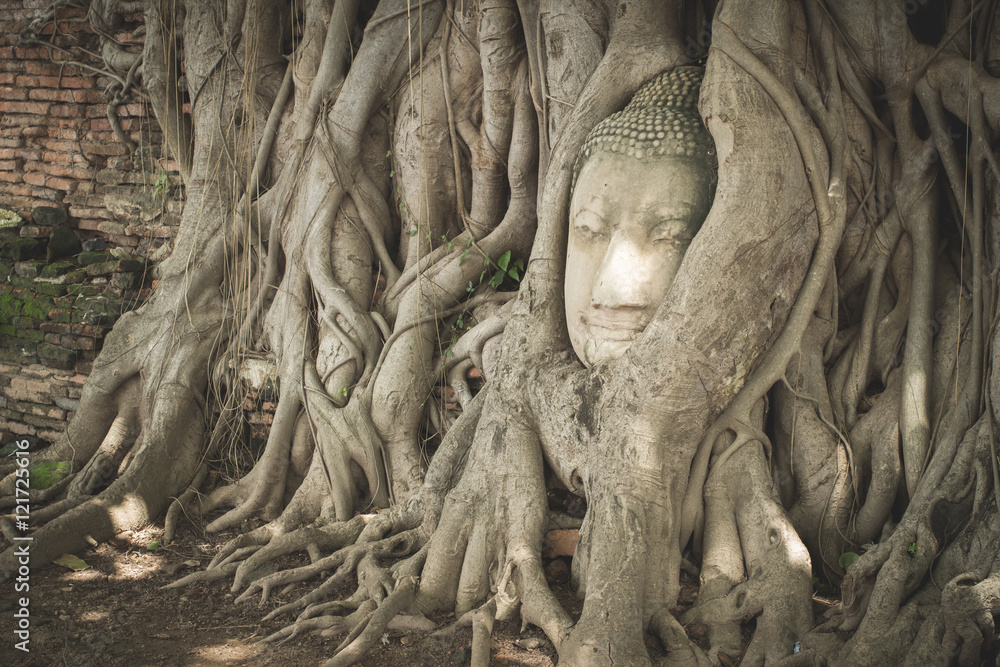 Ancient Buddha Statue in tree roots at Mahatat Temple, Ayuttaya, Stock ...