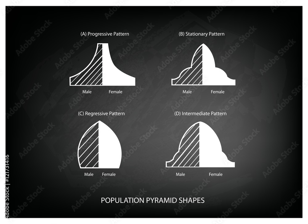 Four Types Of Population Pyramids On Chalkboard Background Stock Vector 3967