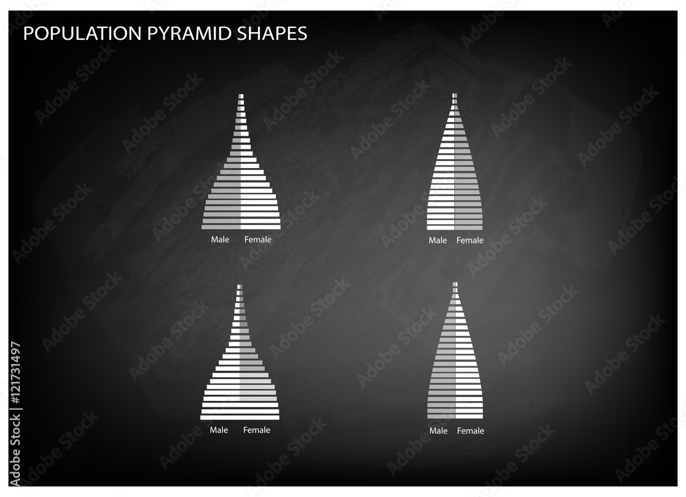 The 4 Types of Population Pyramids Graphs Stock Vector | Adobe Stock