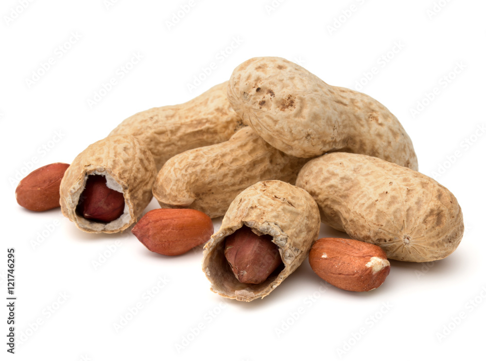 Opened and whole peanut or groundnut pod isolated on white backg Stock ...