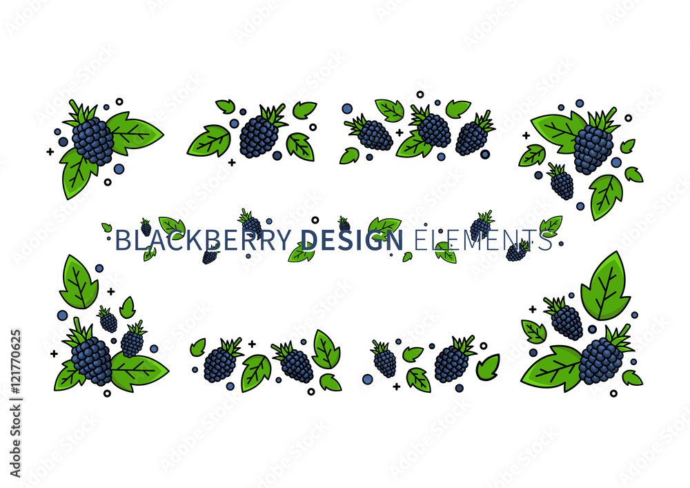 Blackberry line art vector illustration. Blackberry design elements ...