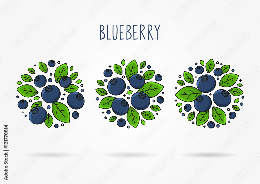 Blueberry line art vector illustration. Blueberry round labels creative ...