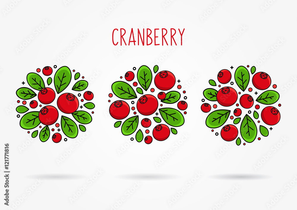 Cranberry Graphic