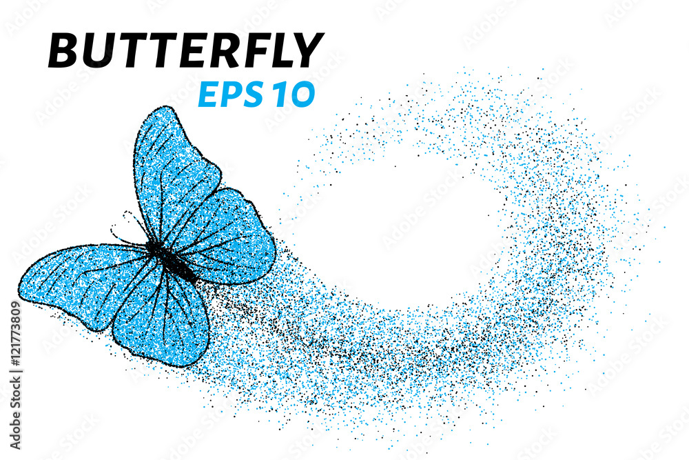 Butterfly of the particles. Of the smaller circles is a butterfly ...