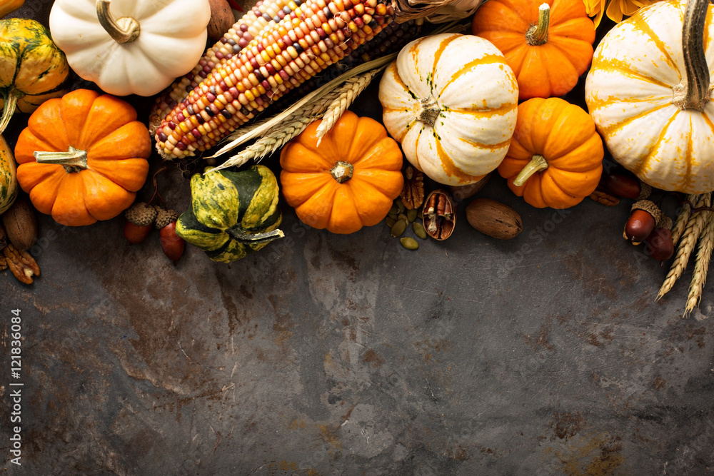 Fall background with pumpkins Stock Photo | Adobe Stock